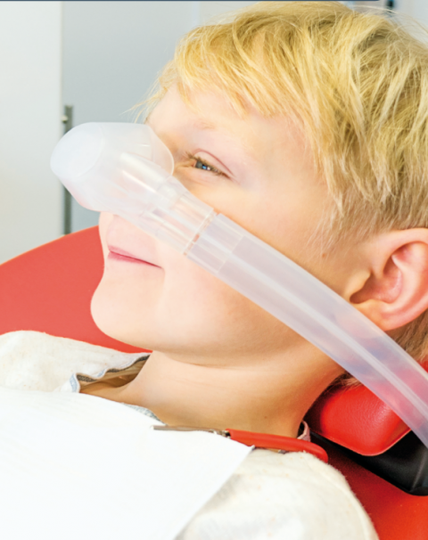 Baldus® Double Mask Scavenger System - Fully Autoclavable! | AiHealthcare