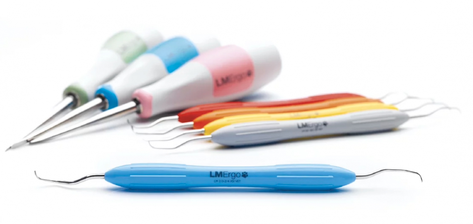 Veterinary dental instruments | AiHealthcare